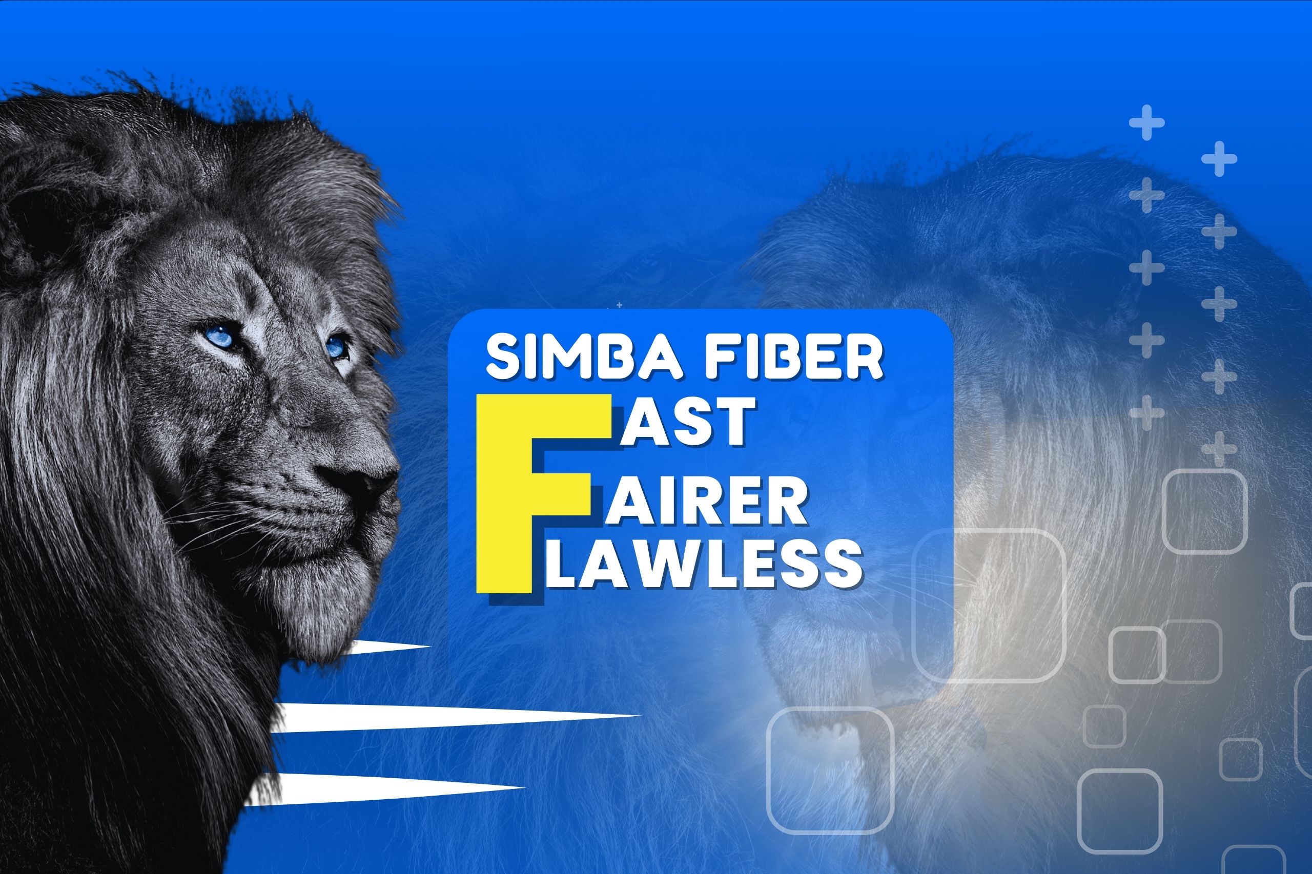 Uganda's Fastest Fiber Optic Internet - Simba Fiber Uganda